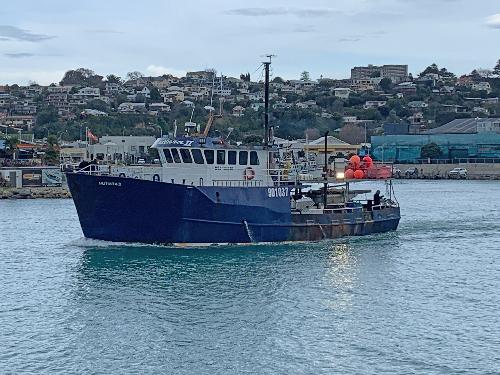 Maritime International: Maritime International